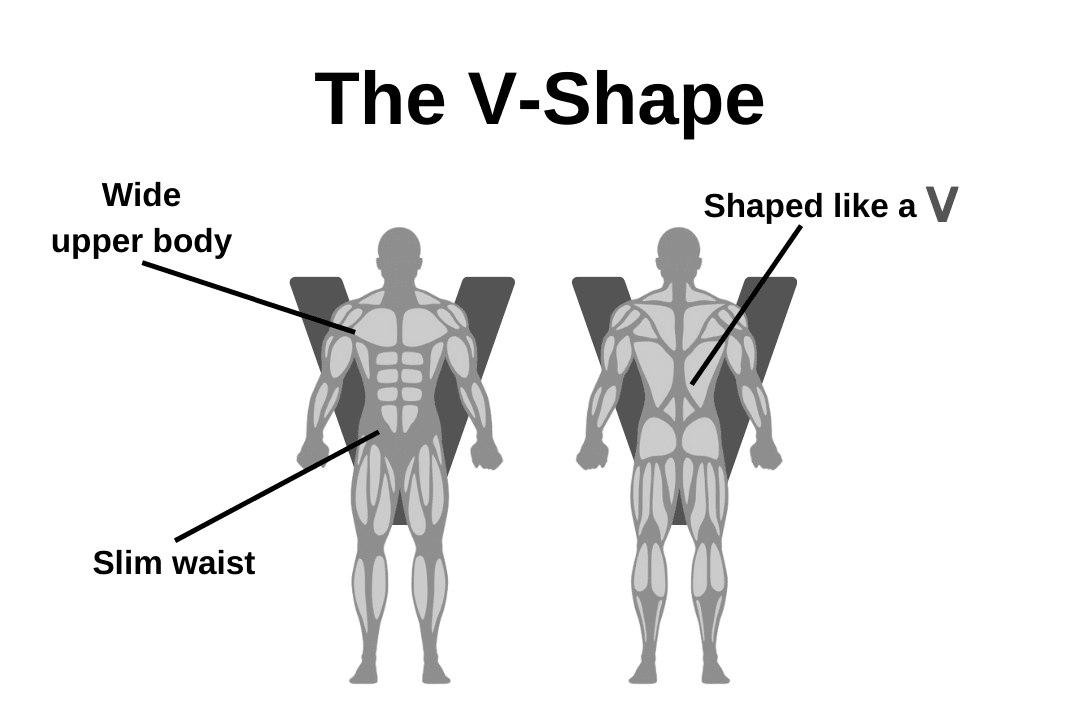 V-Shape - The Perfect Body Shape - Health and Fitness Talk